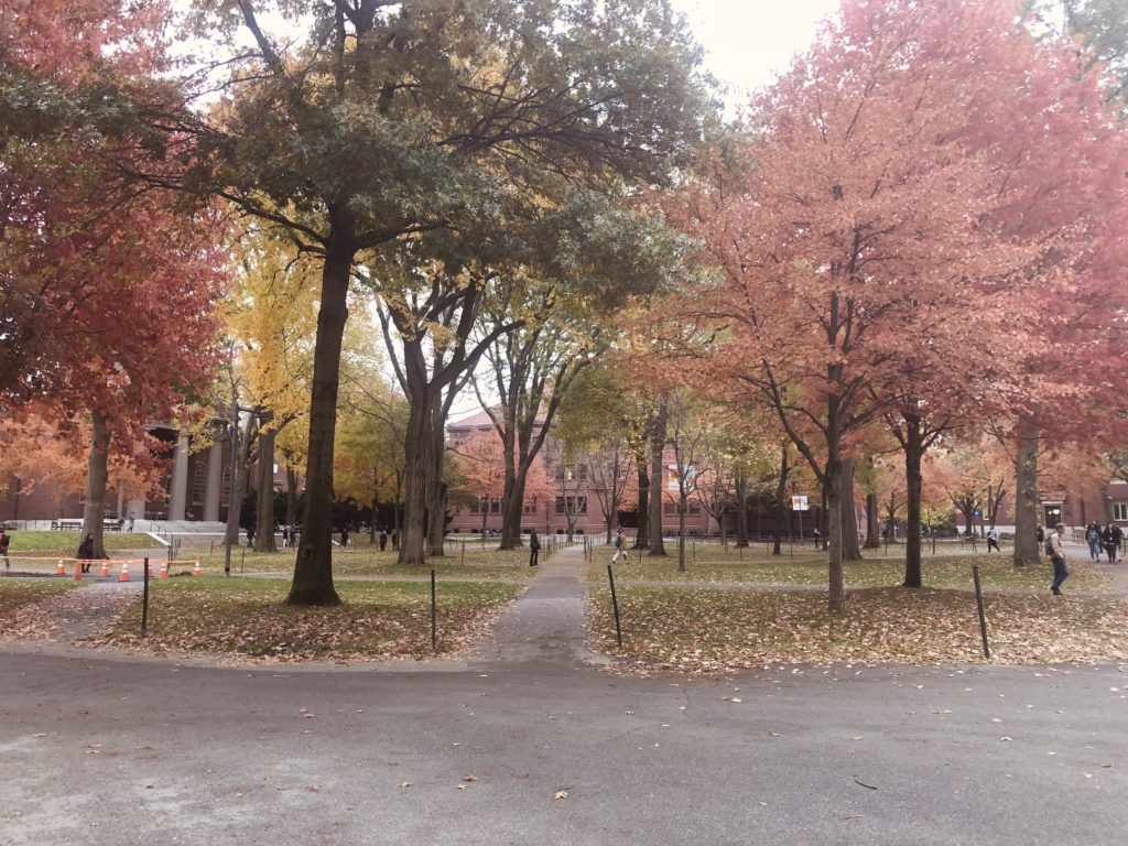 7 Reasons to Visit a College Campus this Fall - Bistro Chic