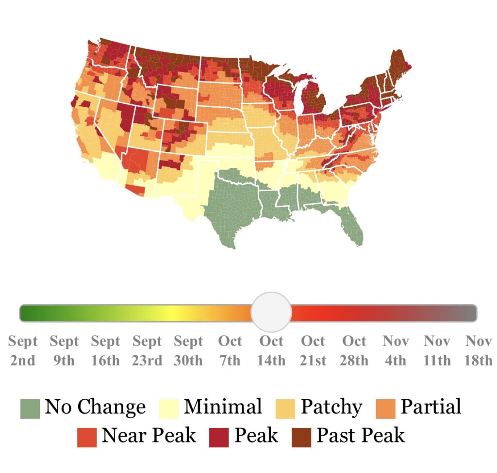 US Fall Foliage Map 2024: Where to See the Best Colors Week by Week ...